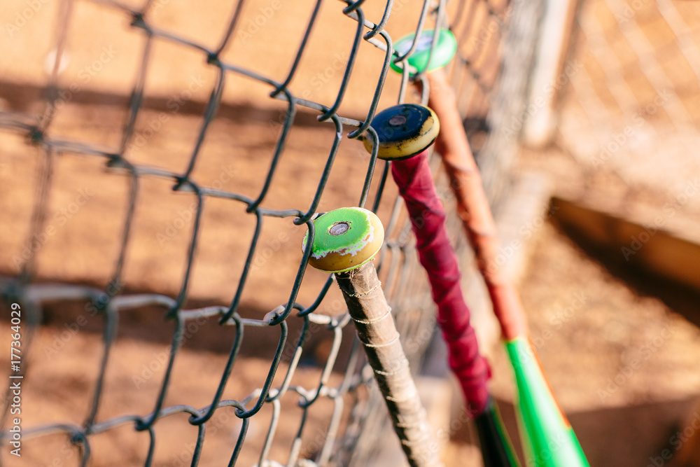 Baseball bats Stock Photo | Adobe Stock