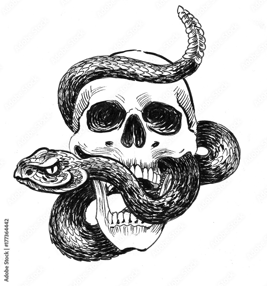 Skull and snake Stock Illustration | Adobe Stock