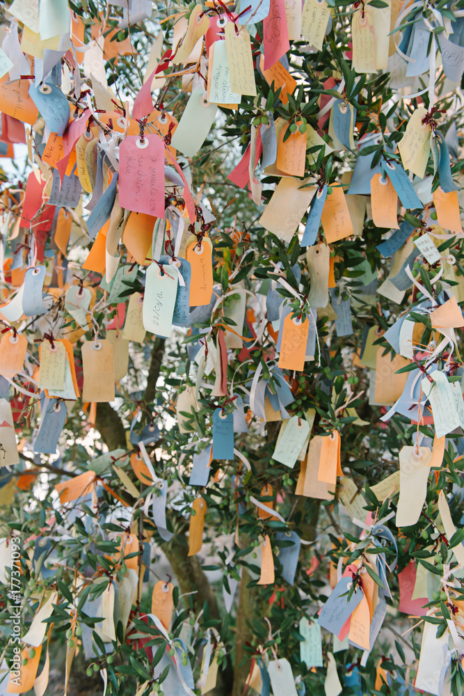 Notes of hope and wishes on a tree Stock Photo | Adobe Stock