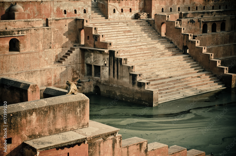 pond with stairs and Monkey. Mathura, Birthplace of Lord Krishna. India ...