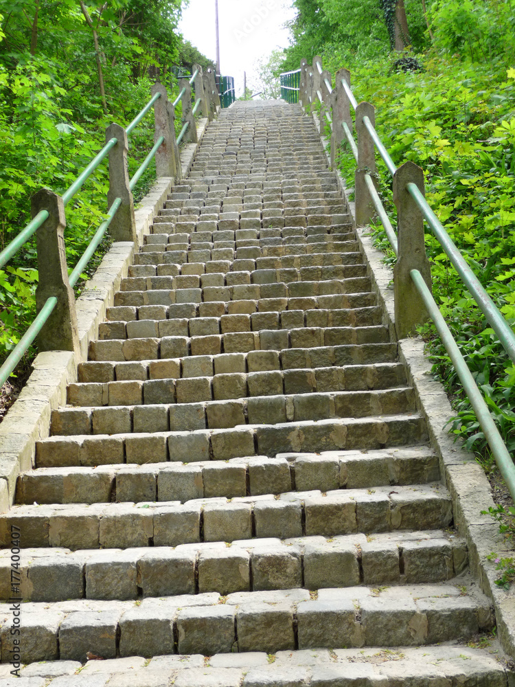 Stiege Eine Stiege führt im Wald nach oben. Stock Photo | Adobe Stock
