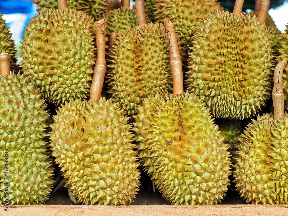 Durian in the market. Flavorit fruit from Thailand with nickname King ...
