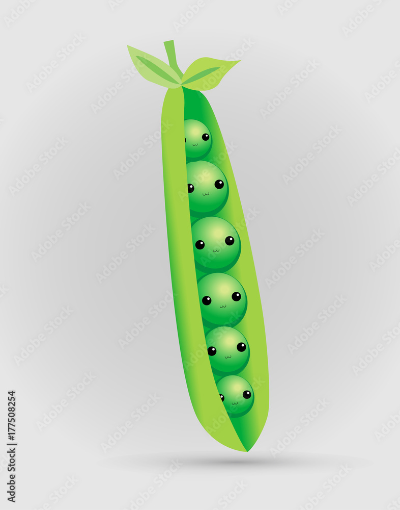 Happy smiling cute peas.Vector flat cartoon character illustration icon ...