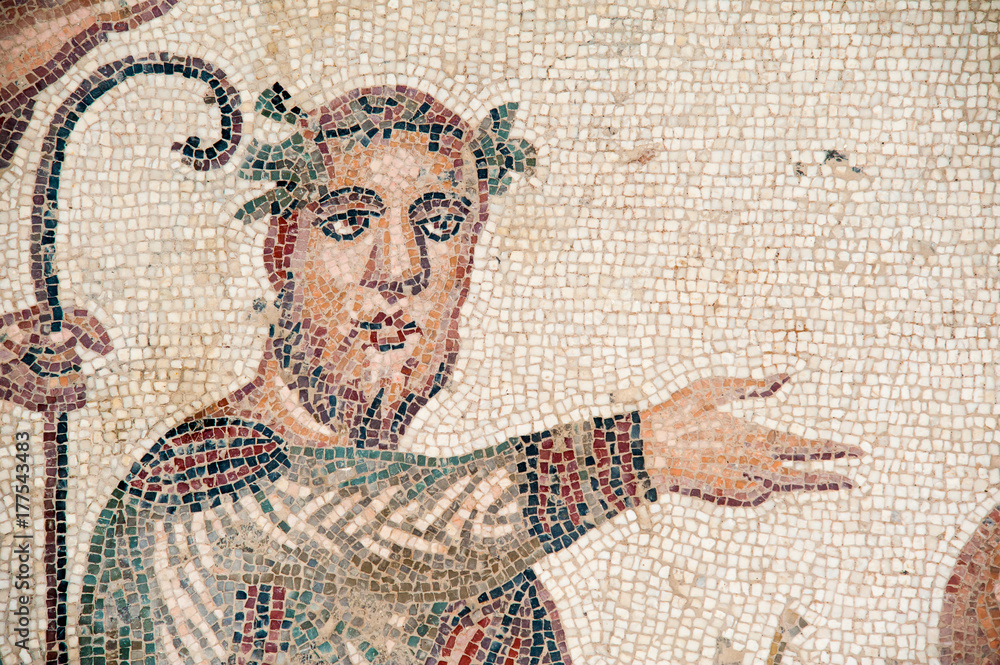 Old roman mosaics: view of figures and motifs in the floor of the old ...