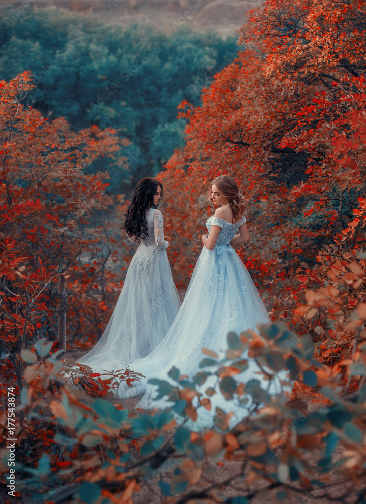 Two beautiful princess girls are walking in luxurious dresses with a ...