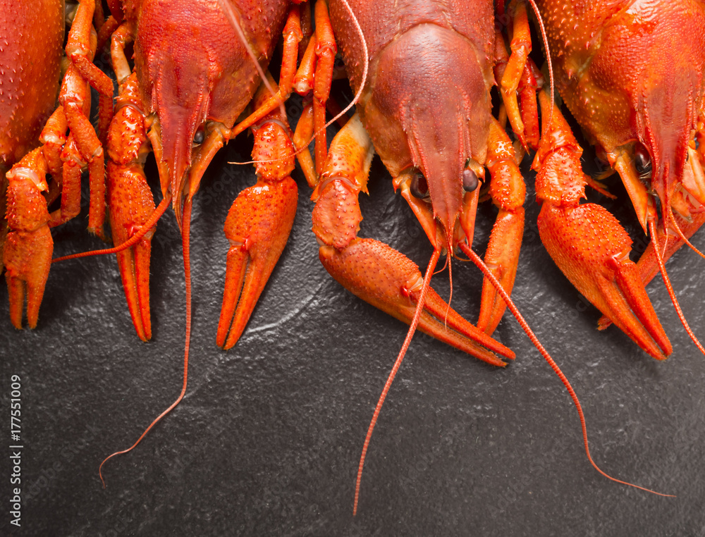 Boiled red crawfish ready to eat. Beer snack. Crayfish to beer. Red ... Boiled red crawfish ready to eat. Beer snack. Crayfish to beer. Red ...