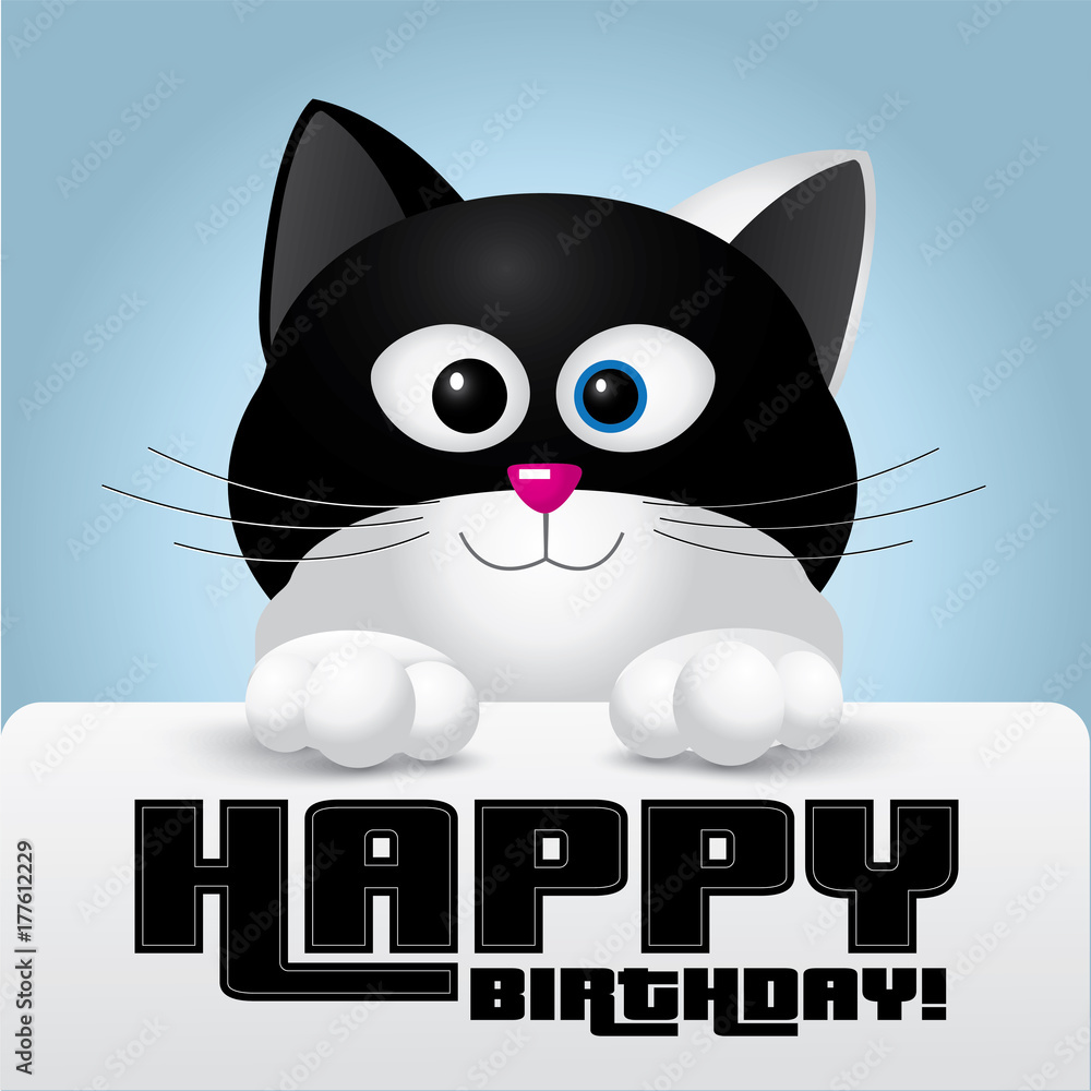 Cat with black and white colors holding a happy birthday greeting card ...