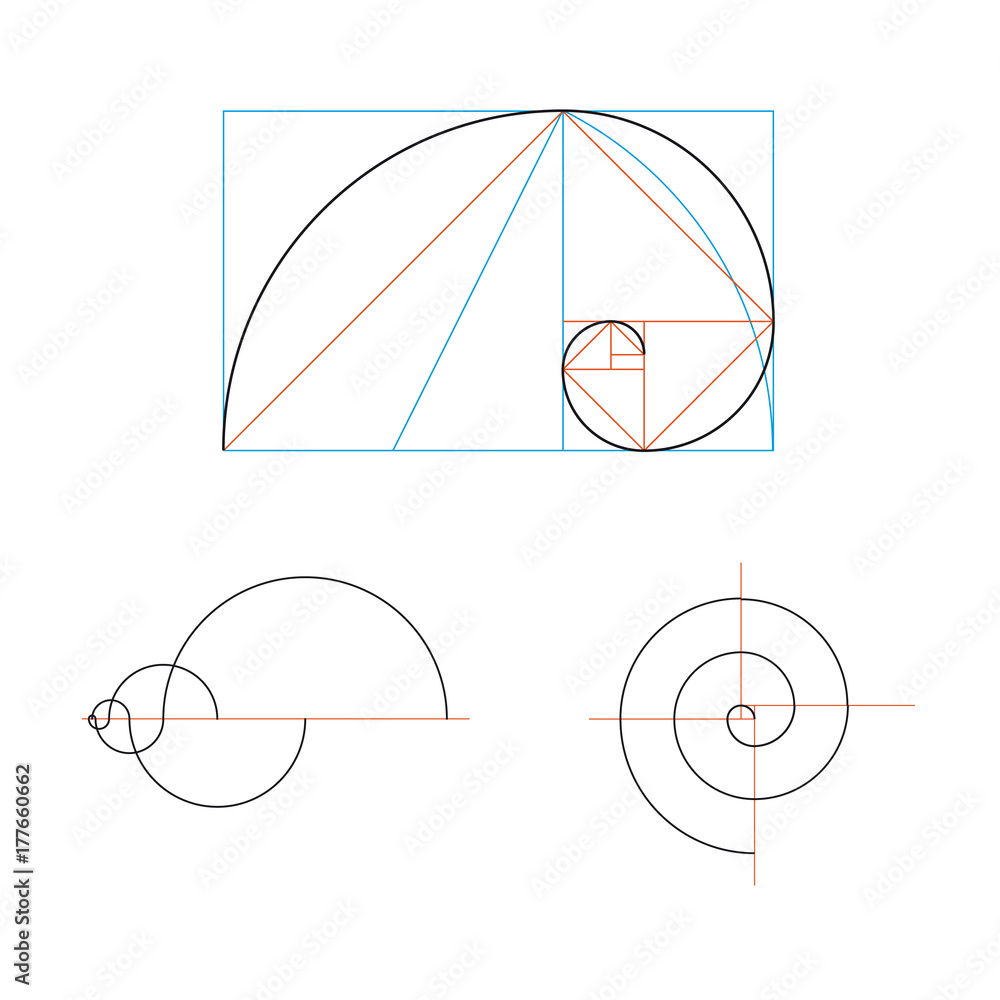 Minimalistic style design. Golden ratio. Geometric shapes. Circles in ...