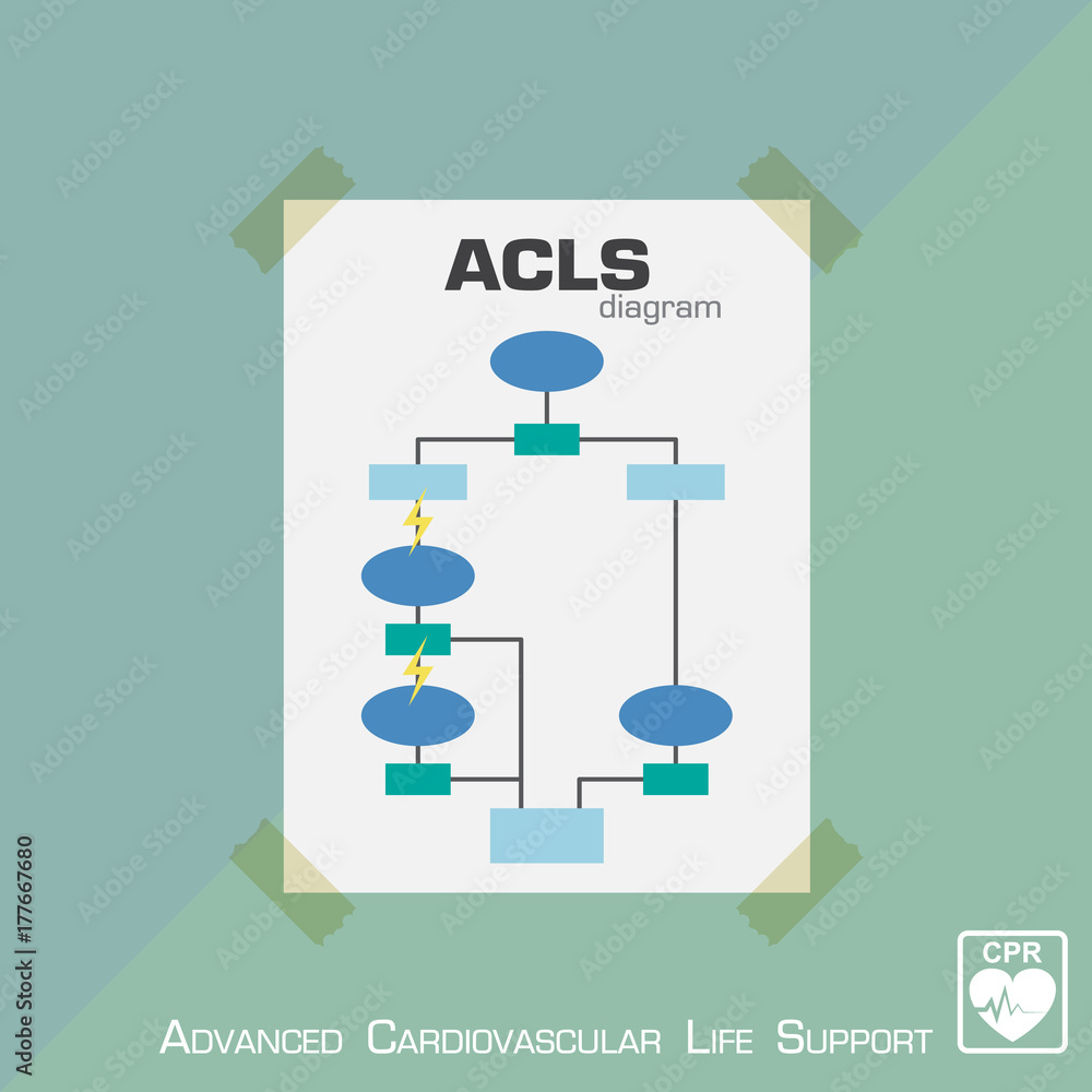 Advanced Cardiovascular Life Support ( ACLS ) diagram . Flat design ...