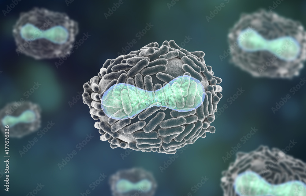 Poster Variola virus, a virus from Orthopoxviridae family that causes ...