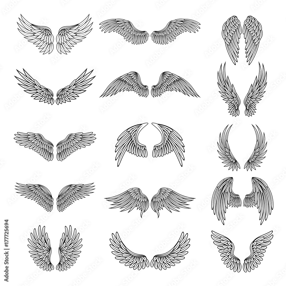 Simple Wings Design