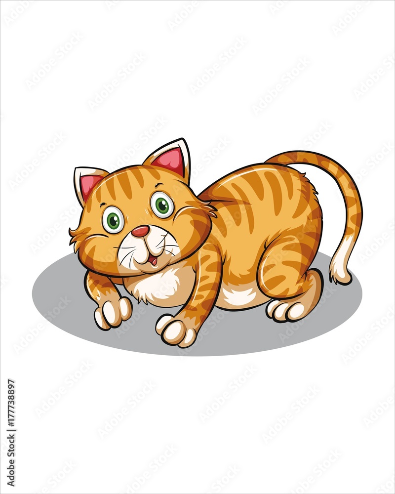 Adult fat ginger Cat - vector drawing - isolate white background Stock ...
