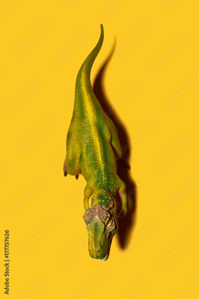Dinosaur tyrannosaurus-rex on a yellow background. Top view. Minimalism ...