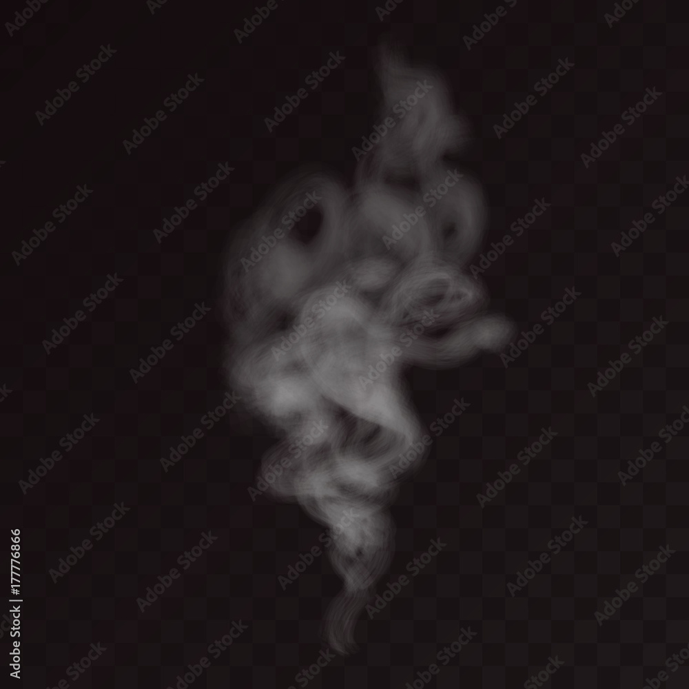 Vecteur Stock Smoke vector texture, isolated on transparent background. Beautiful soft cigarette ...