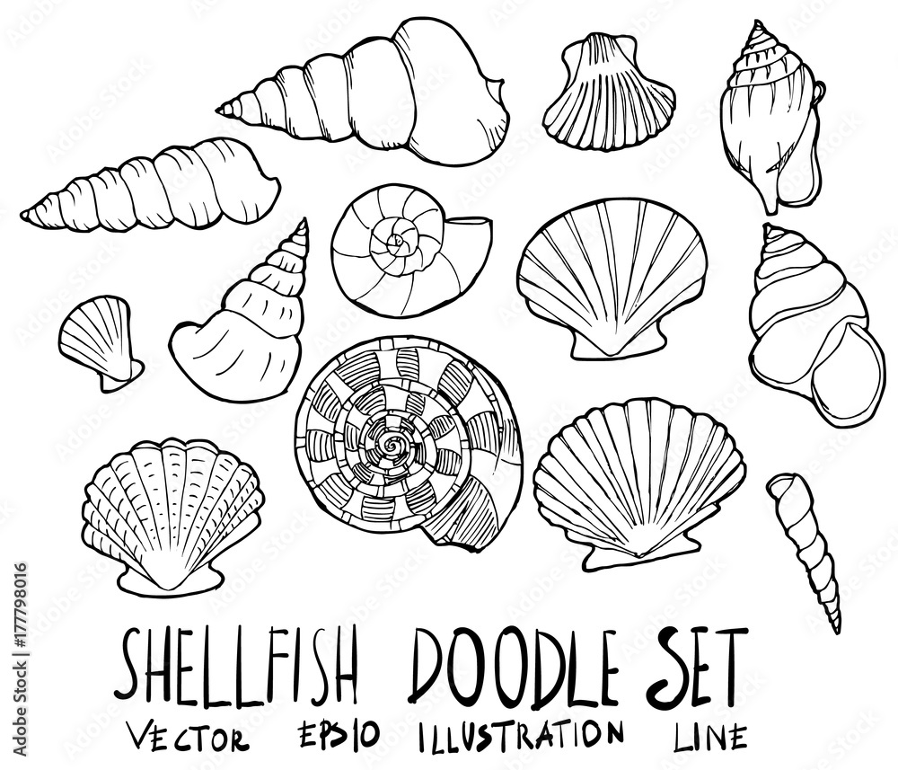 Set of Shellfish illustration Hand drawn doodle Sketch line vector ...