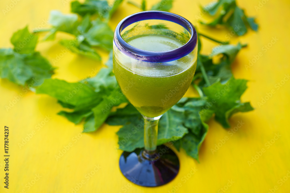 Agua de Chaya water Mayan Tree Spinach Stock Photo | Adobe Stock
