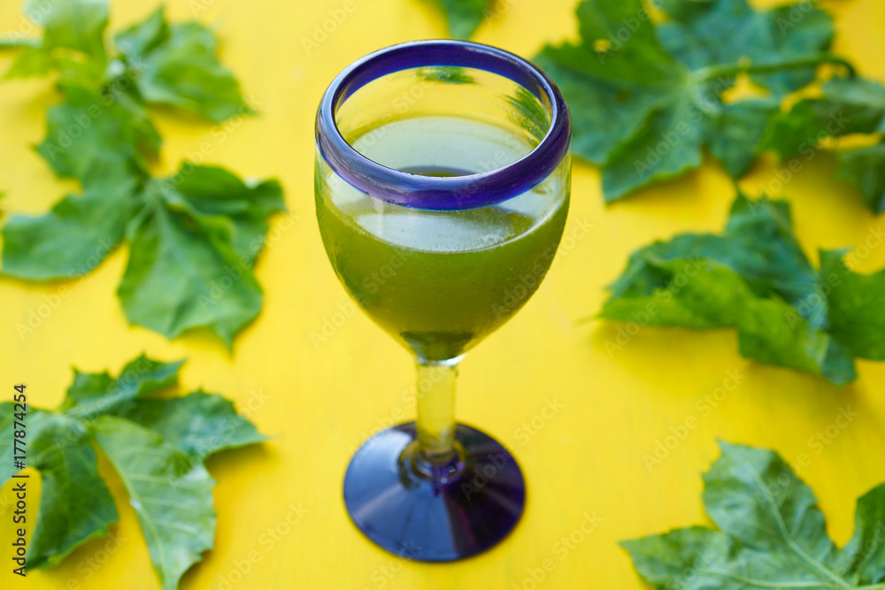 Agua de Chaya water Mayan Tree Spinach Stock Photo | Adobe Stock