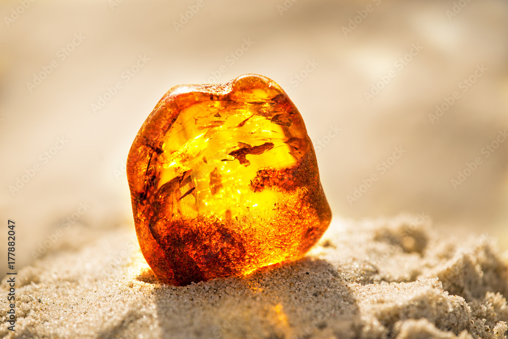 Bernstein am Ostseestrand Stock Photo | Adobe Stock