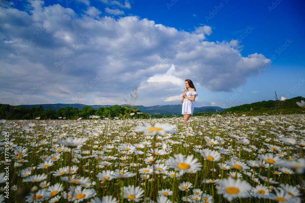 Daisy Field Photography