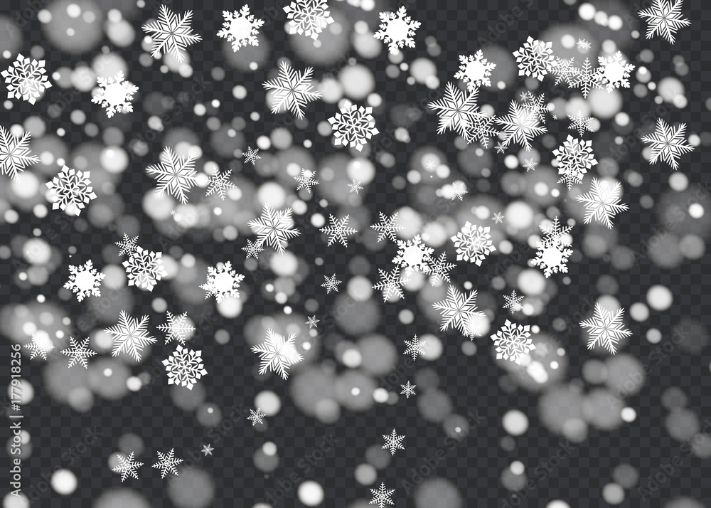 Vector falling snow effect isolated on transparent background with ...