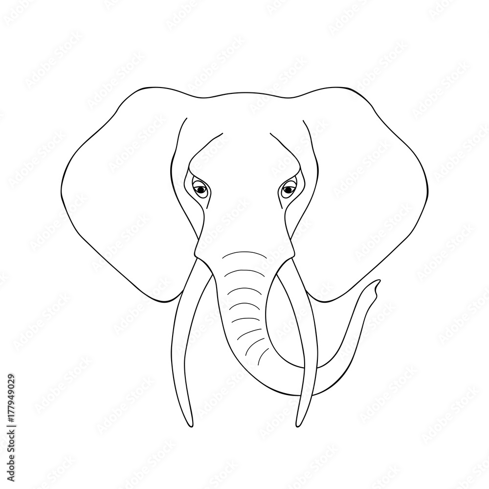 African Elephant Head Outline