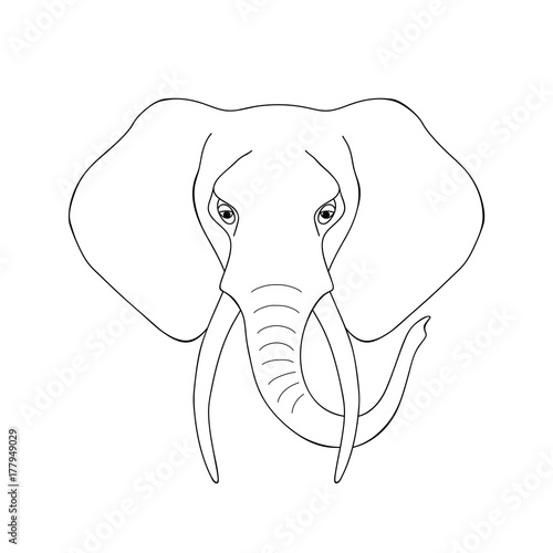 African Elephant Line Drawing