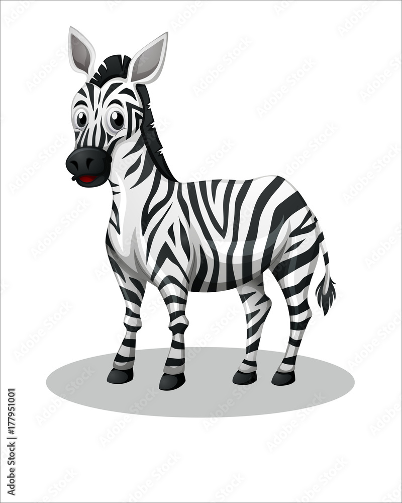 Realistic Zebra-vector drawing-isolated white background Stock Vector | Adobe Stock