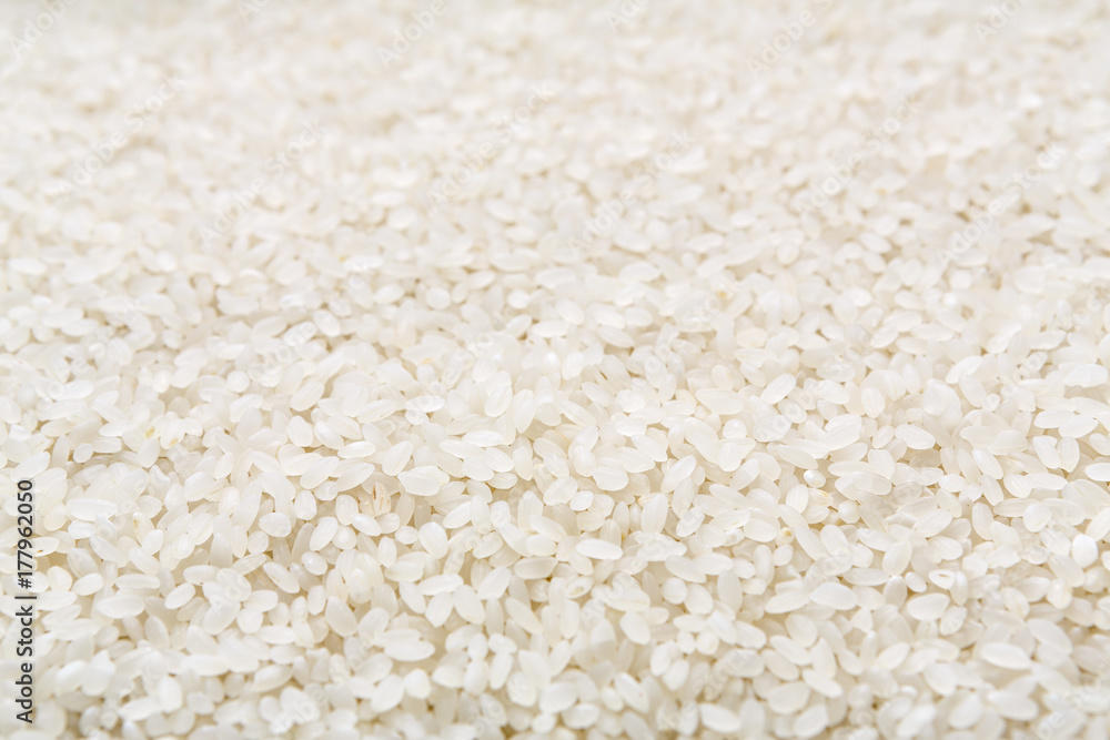 White rice background and texture, copy space Stock Photo | Adobe Stock