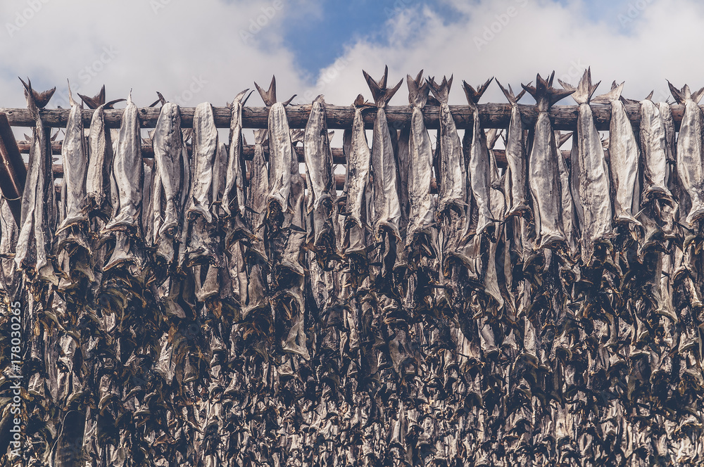drying fish Stock Photo | Adobe Stock