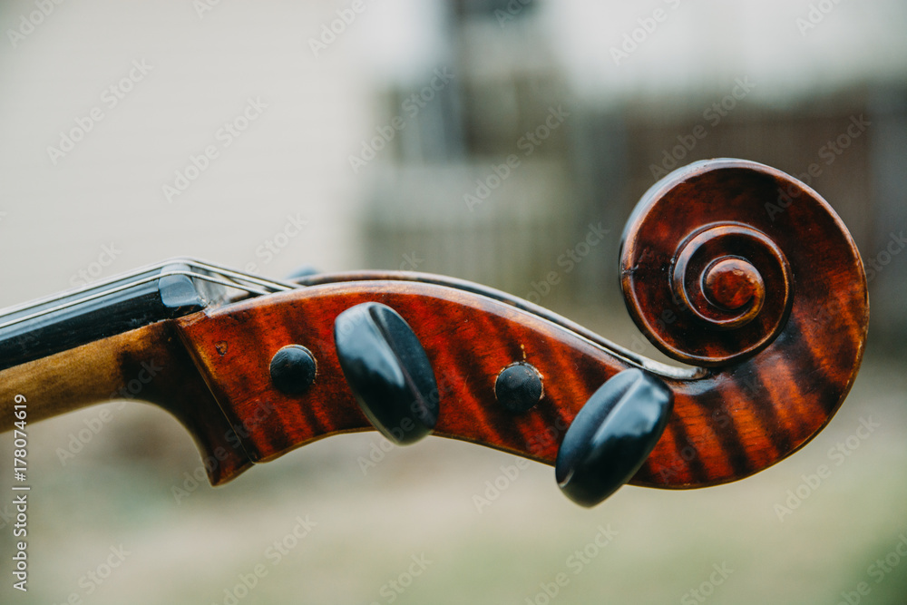 Cello Scroll and Tuning Pegs Stock Photo | Adobe Stock