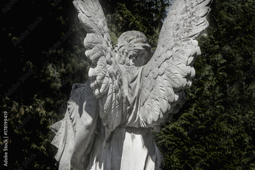 Life And Death Angel