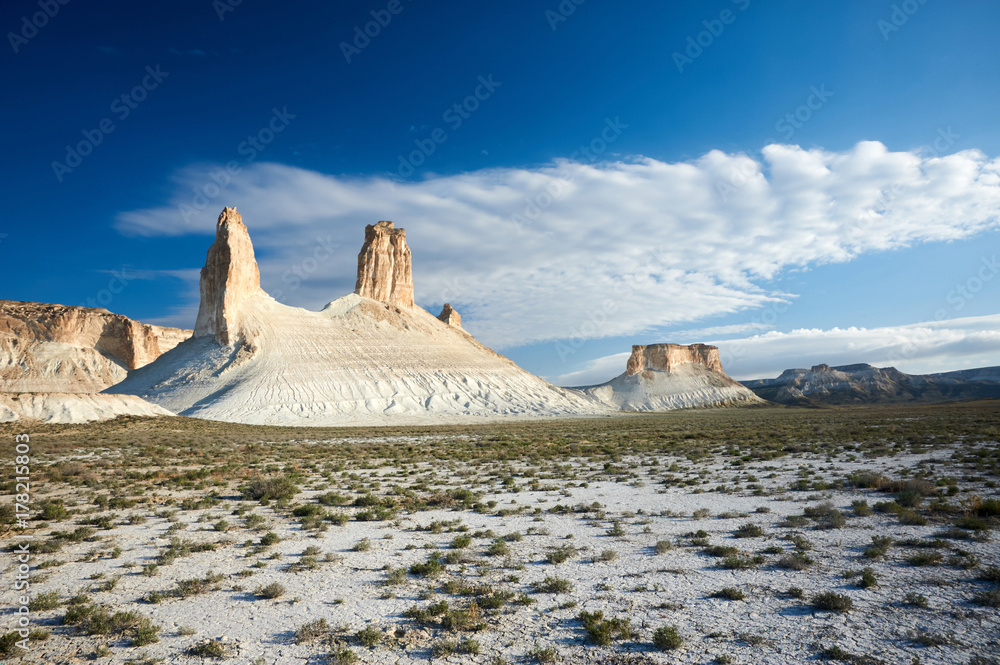 On the Ustyurt Plateau. Desert and plateau Ustyurt or Ustyurt plateau ...