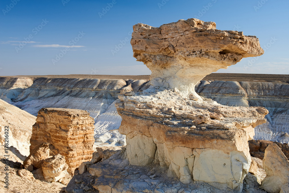 Foto de On the Ustyurt Plateau. Desert and plateau Ustyurt or Ustyurt ...