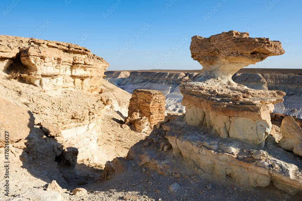 On the Ustyurt Plateau. Desert and plateau Ustyurt or Ustyurt plateau ...
