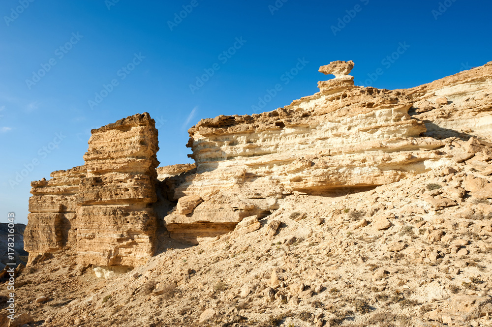 On the Ustyurt Plateau. Desert and plateau Ustyurt or Ustyurt plateau ...