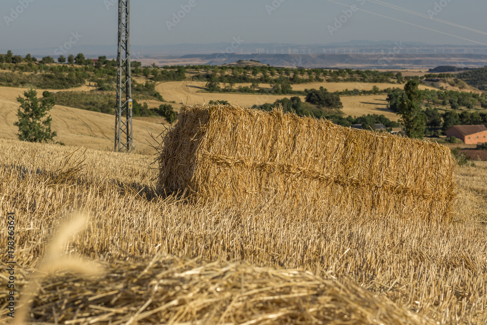 Fields Of Color Harvest Images