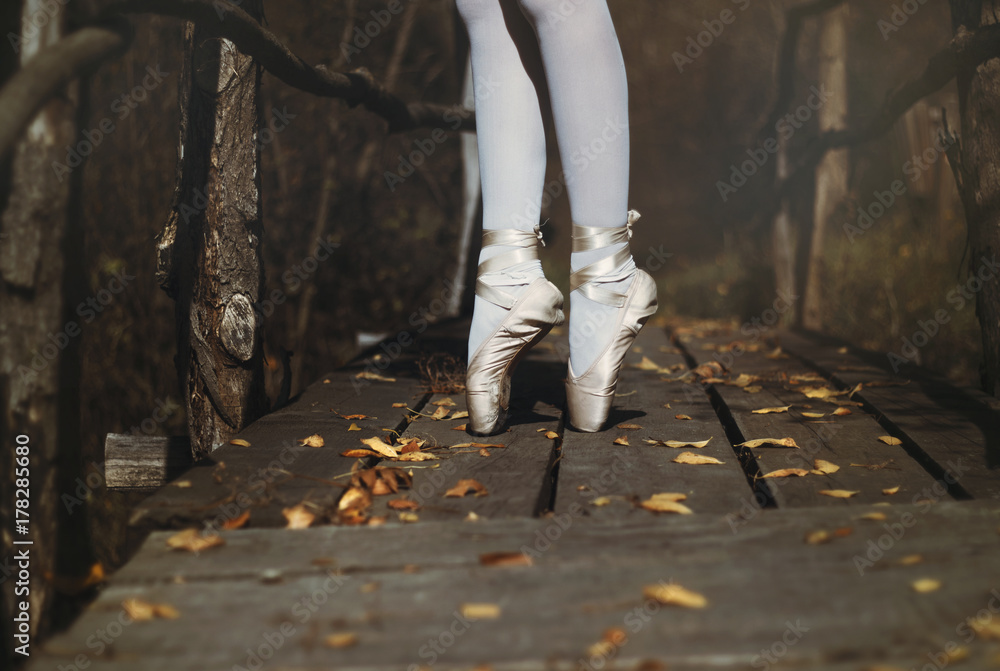 Ballet dancer in nature Stock Photo | Adobe Stock