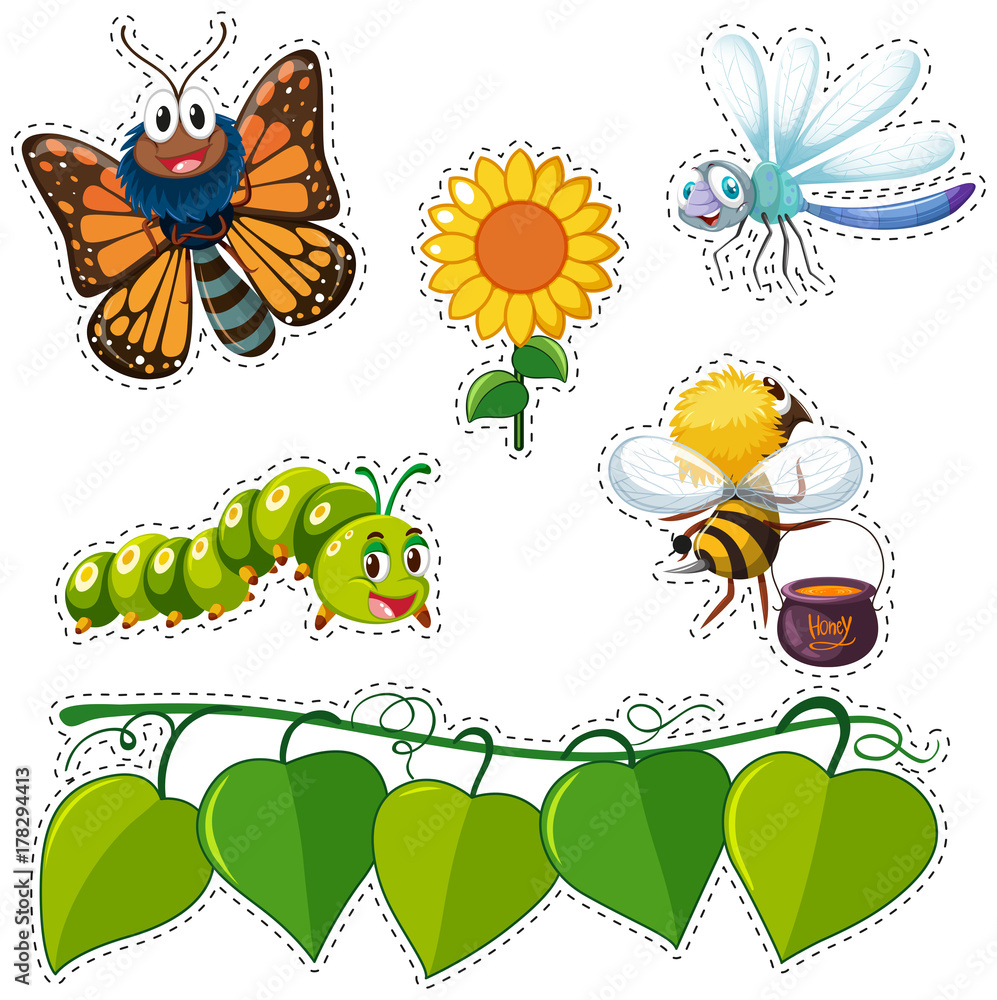 Sticker design with leaves and insects Stock Vector | Adobe Stock