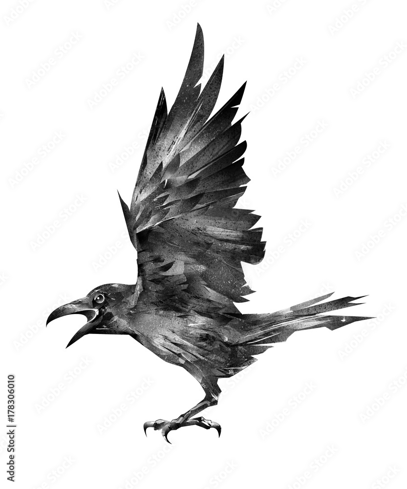drawn flying bird Raven on a white background Stock Illustration ...
