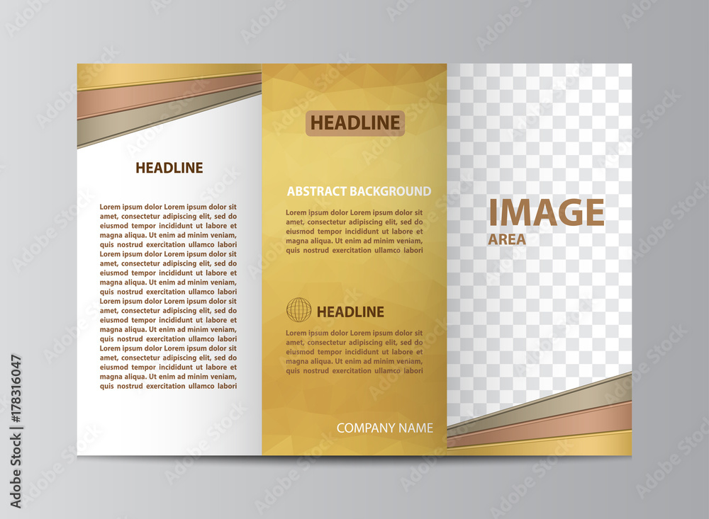 Stunning Adobe Tri Fold Brochure Template - Forestryencyclopedia