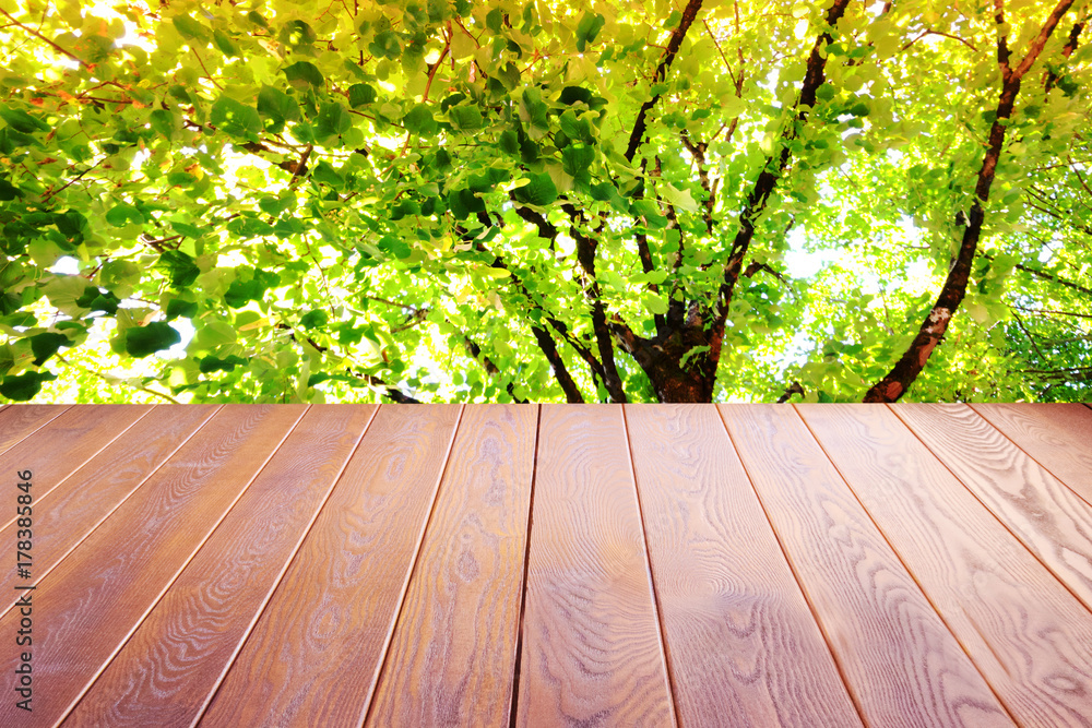 Wood floor with blurred trees of nature, park garden in summer ...