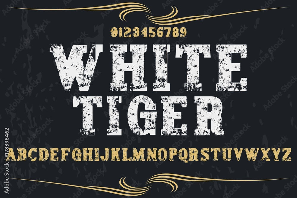 Font handcrafted vector script alphabet font vector, design,handwritten ...