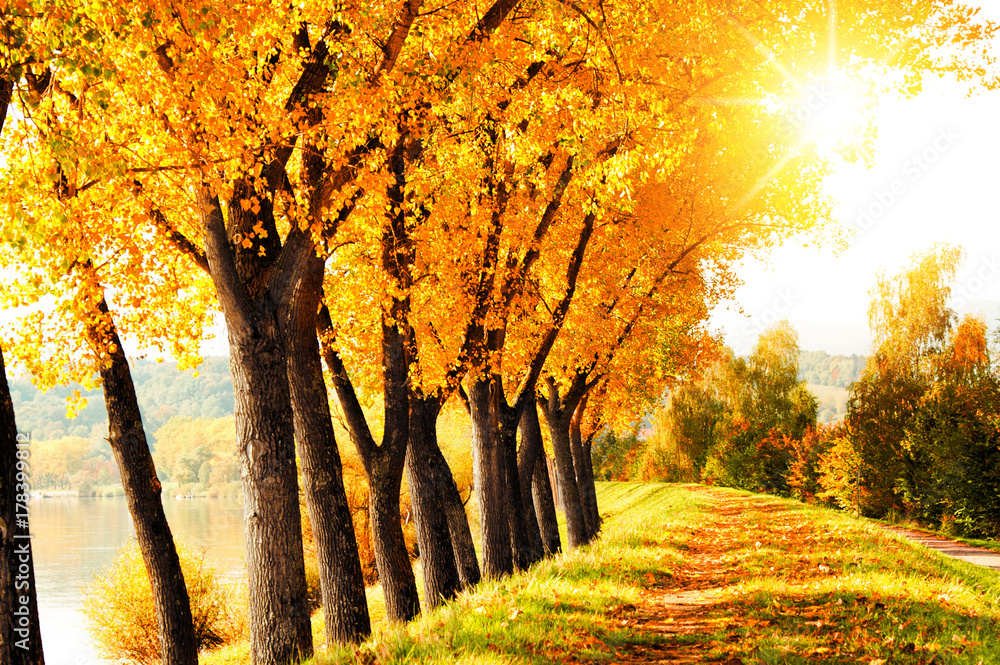 Goldener Herbst Stock-Foto | Adobe Stock