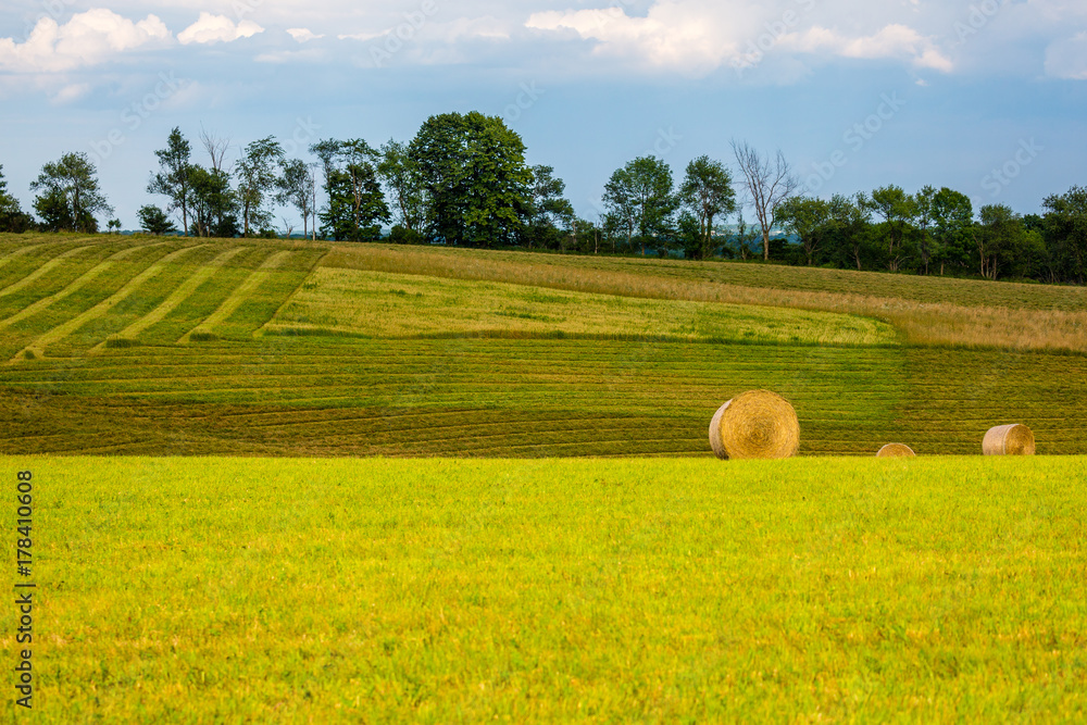 Hay field that has been cut with a right angle pattern Stock Photo ...