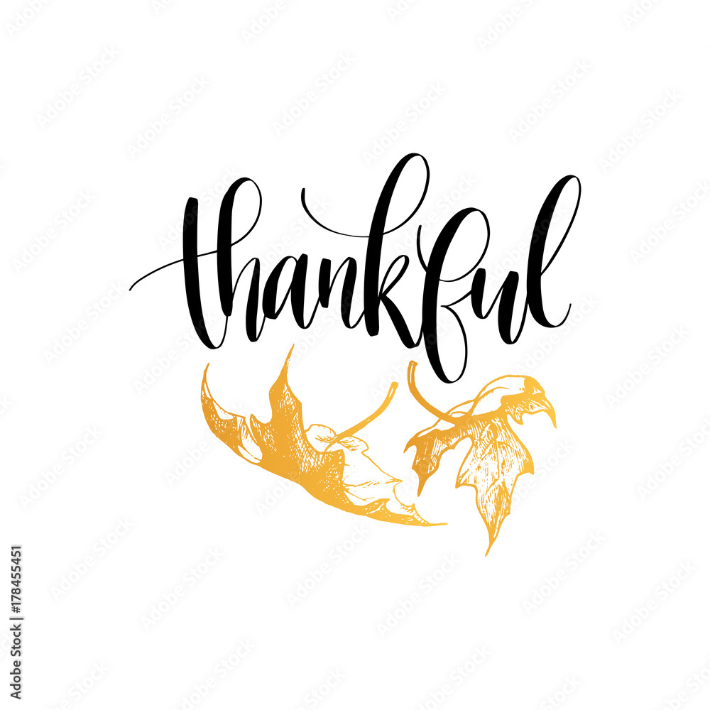 Thankful vector lettering on white background. Maple leaves ...