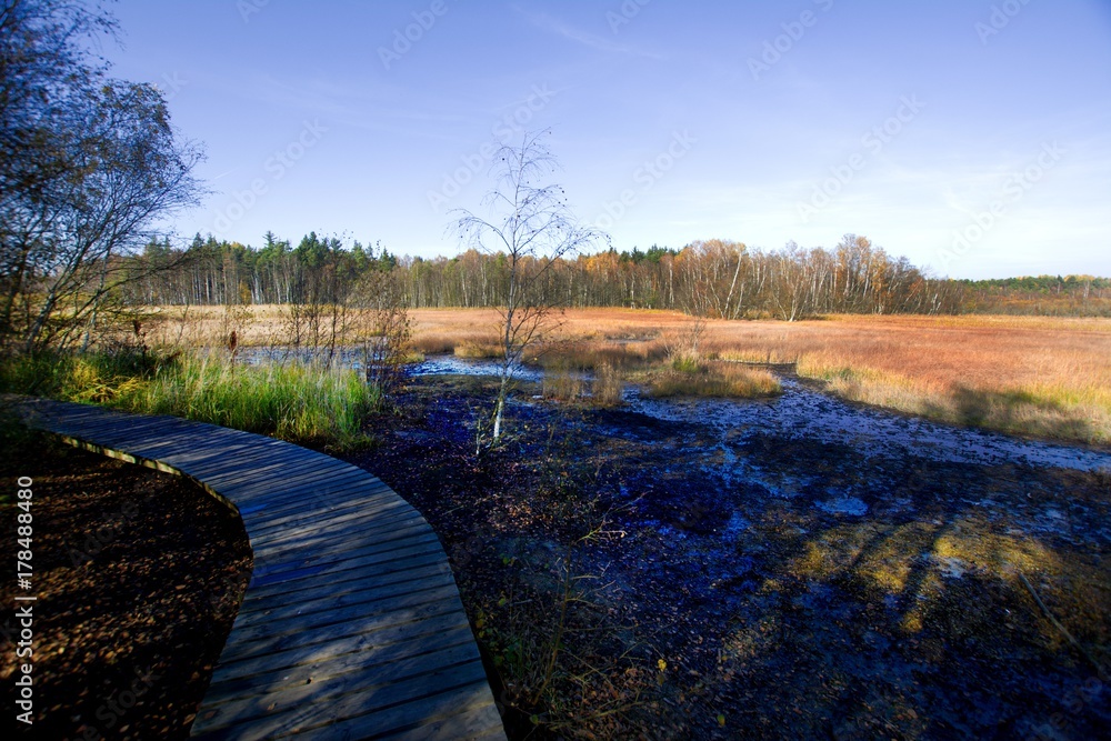 National nature reserve SOOS - large moorland and fen with many mineral ...