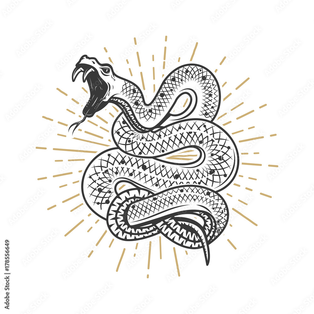 Viper snake illustration on white background. Design element for poster ...