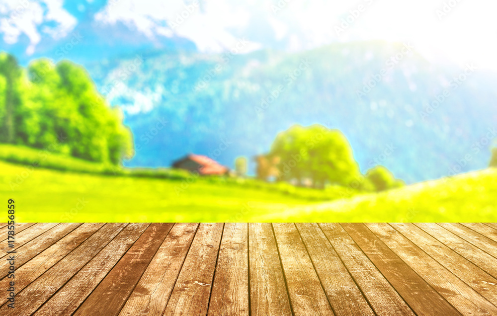 Blurred of trees view background. Panoramic banner for montage product ...