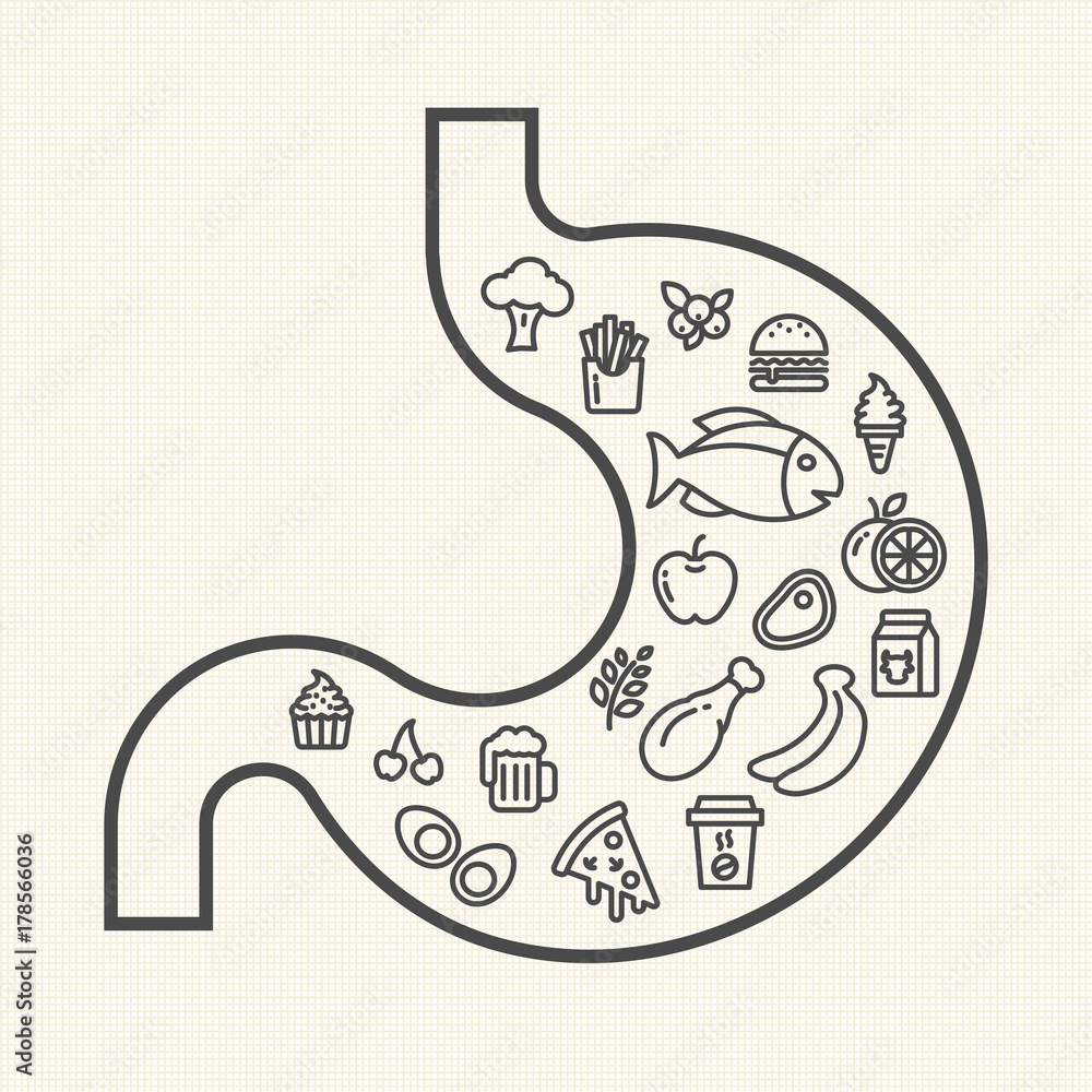 Stomach, when your mind is hungry. Healthy food and lifestyle concept ...