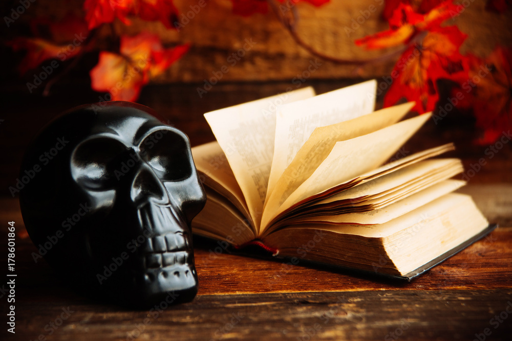 still life art photography on human skull skeleton with book omn desk ...